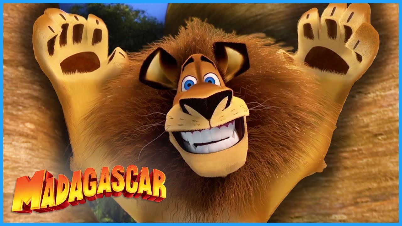 It's Showtime! | Alex Compilation | DreamWorks Madagascar - YouTube