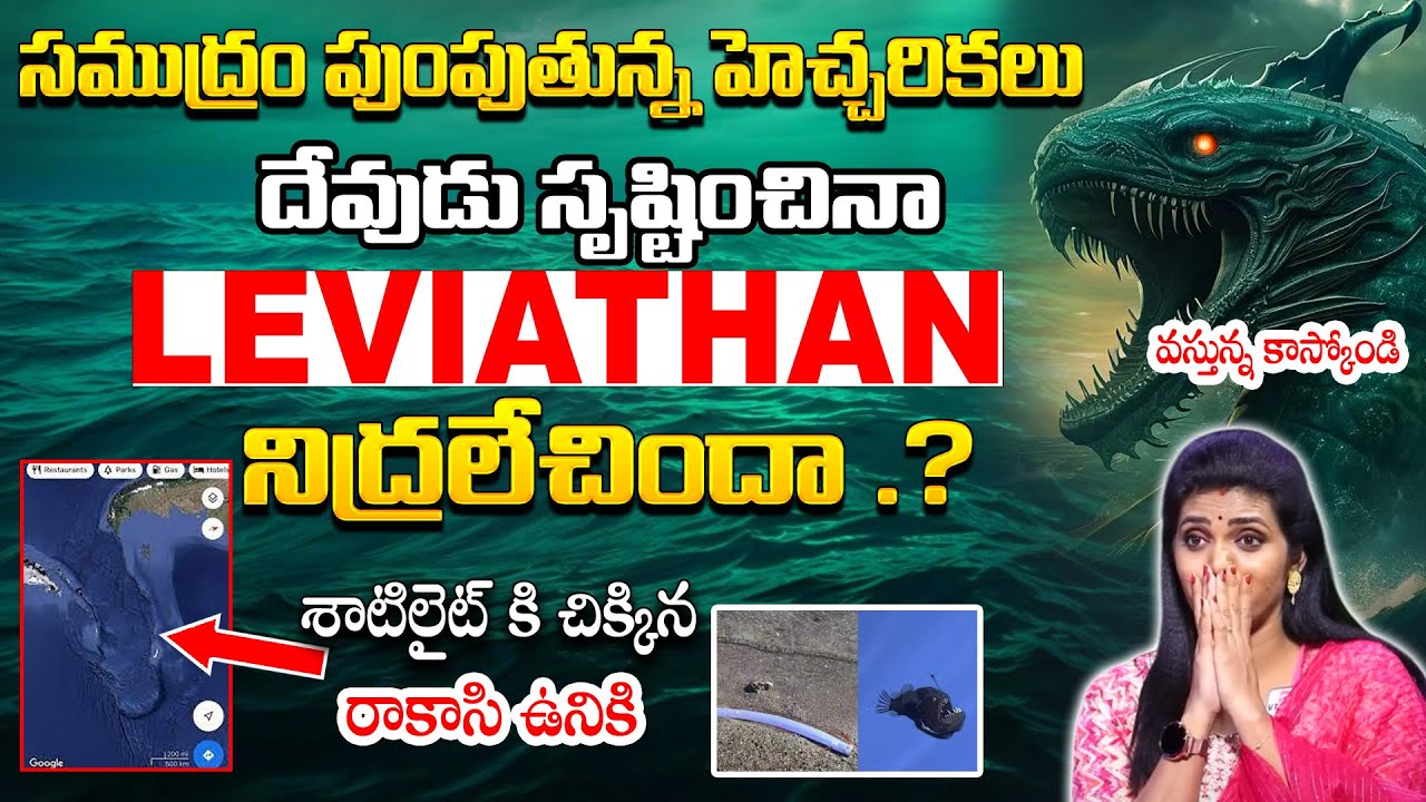 Leviathan Theory: Does Levithan Really Exists?? || Oar Fish on Surface || Mystry Of Levithan ...