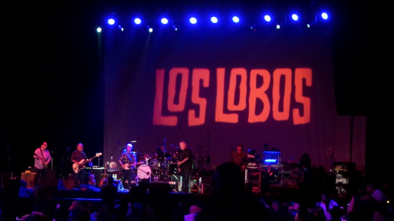 Los Lobos- Born On The Bayou @ LEA- Laredo,Tx, 12-8-2017 - YouTube