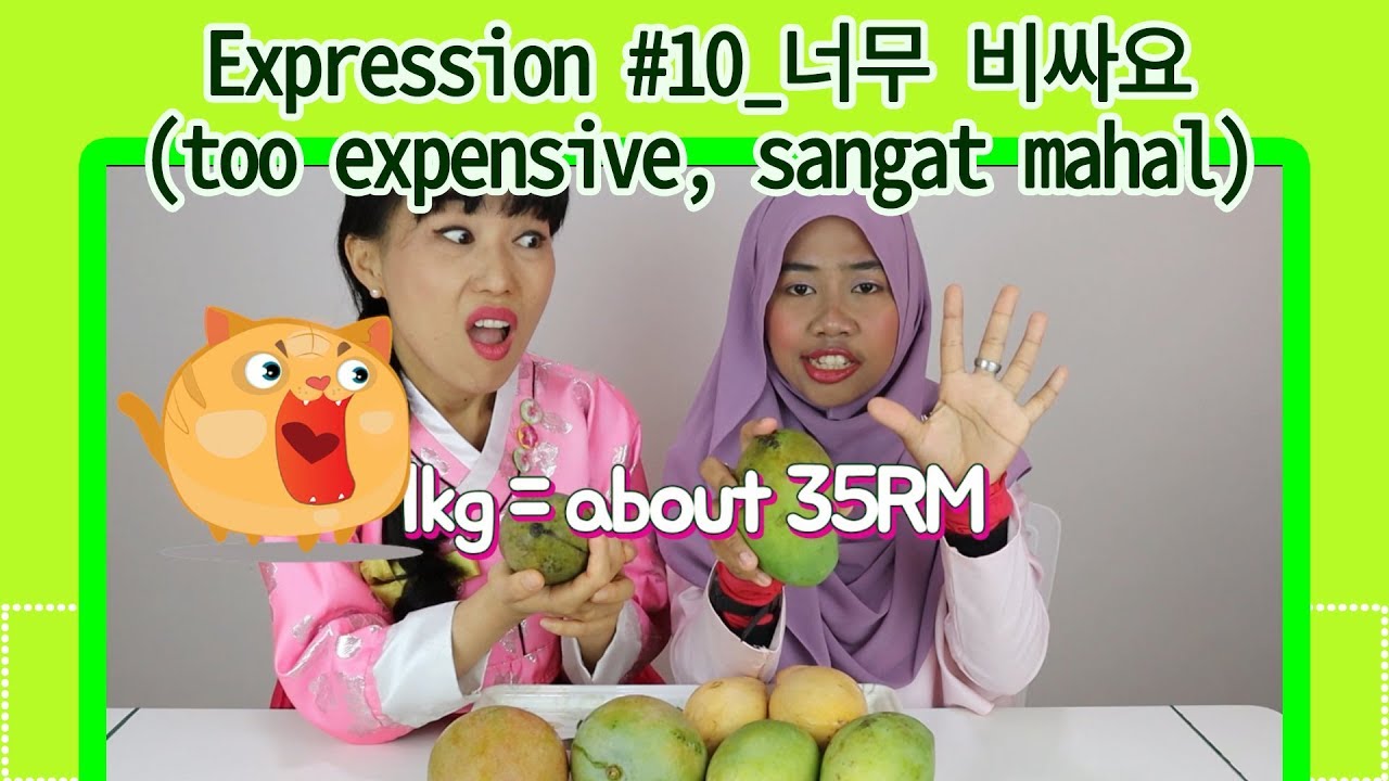 Expression #10: 너무 비싸요(too expensive/sangat mahal) #BahasaKorea # ...
