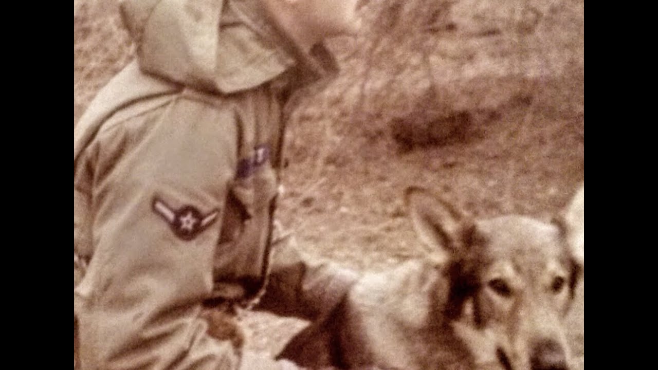 Mark Smoot: Military Working Dog Handler - YouTube