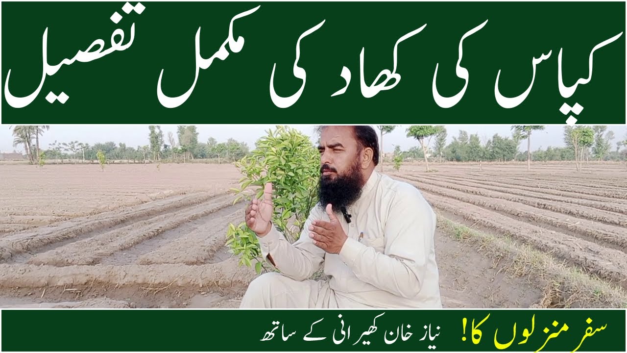 Fertilizer schedule liquid fertilizer for cotton dap khad urea khad ...