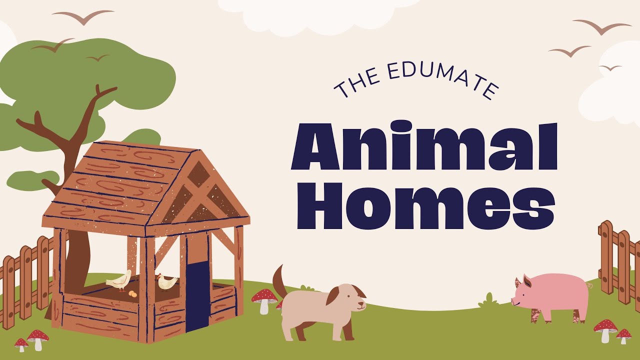 Animal Homes | Living Place of Animals | Homes of Animals | Animal ...