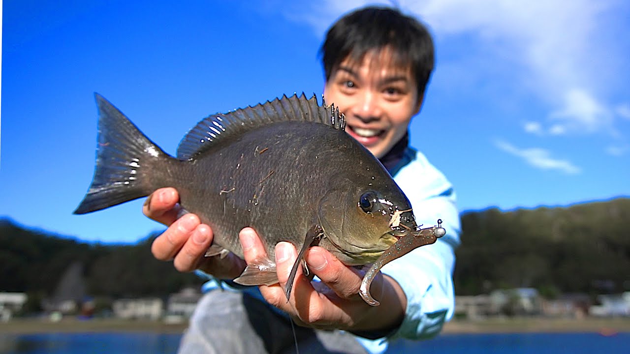 New System! New Fishing Opportunities In Winter! - YouTube