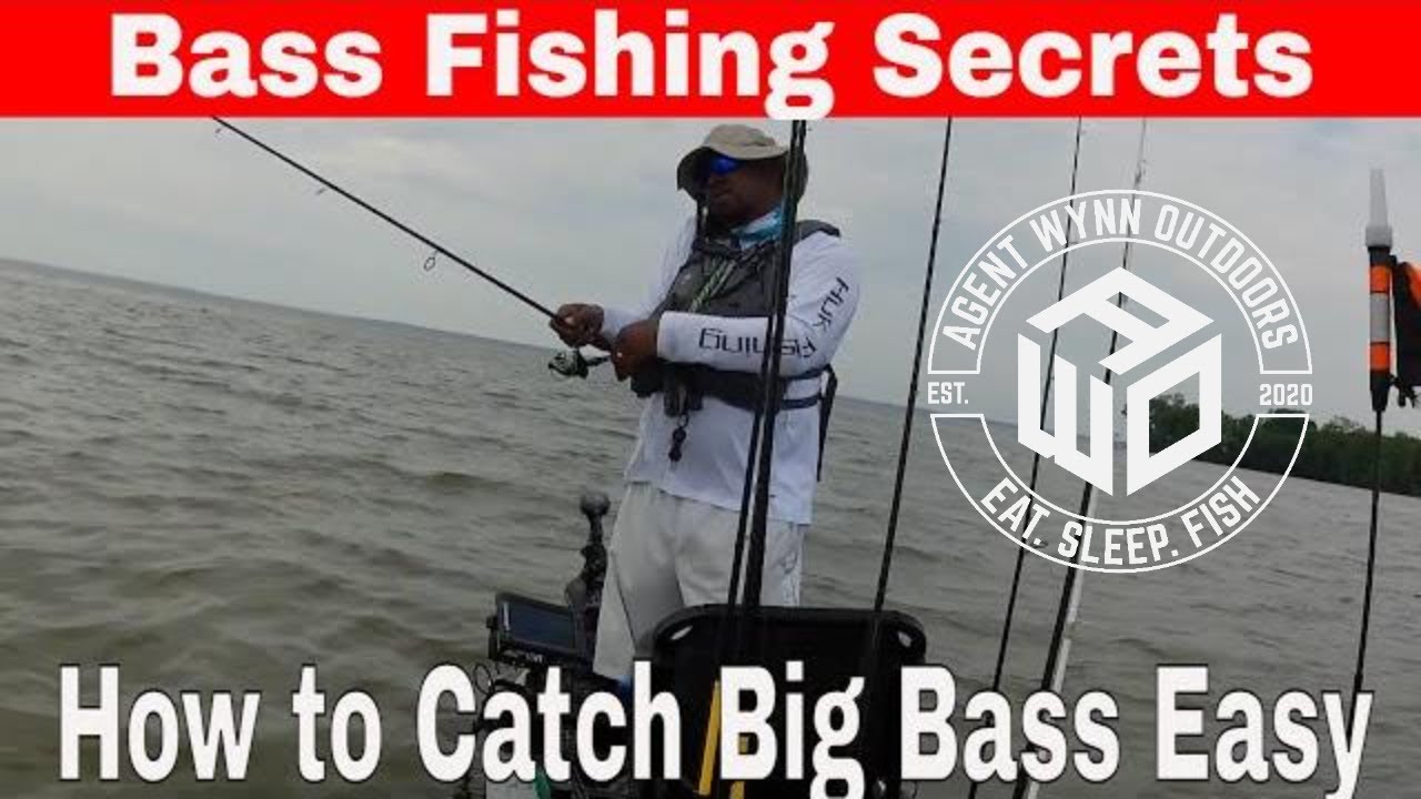 "Bass Fishing Secrets: How to Catch Big Ones While on the Phone!" - YouTube