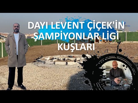 DAYI LEVENT ÇİÇEK'İN ŞAMPİYONLAR LİGİ KUŞLARI - DAYI LEVENT ÇİÇEK GÜVERCİN KÜMES ZİYARETİ