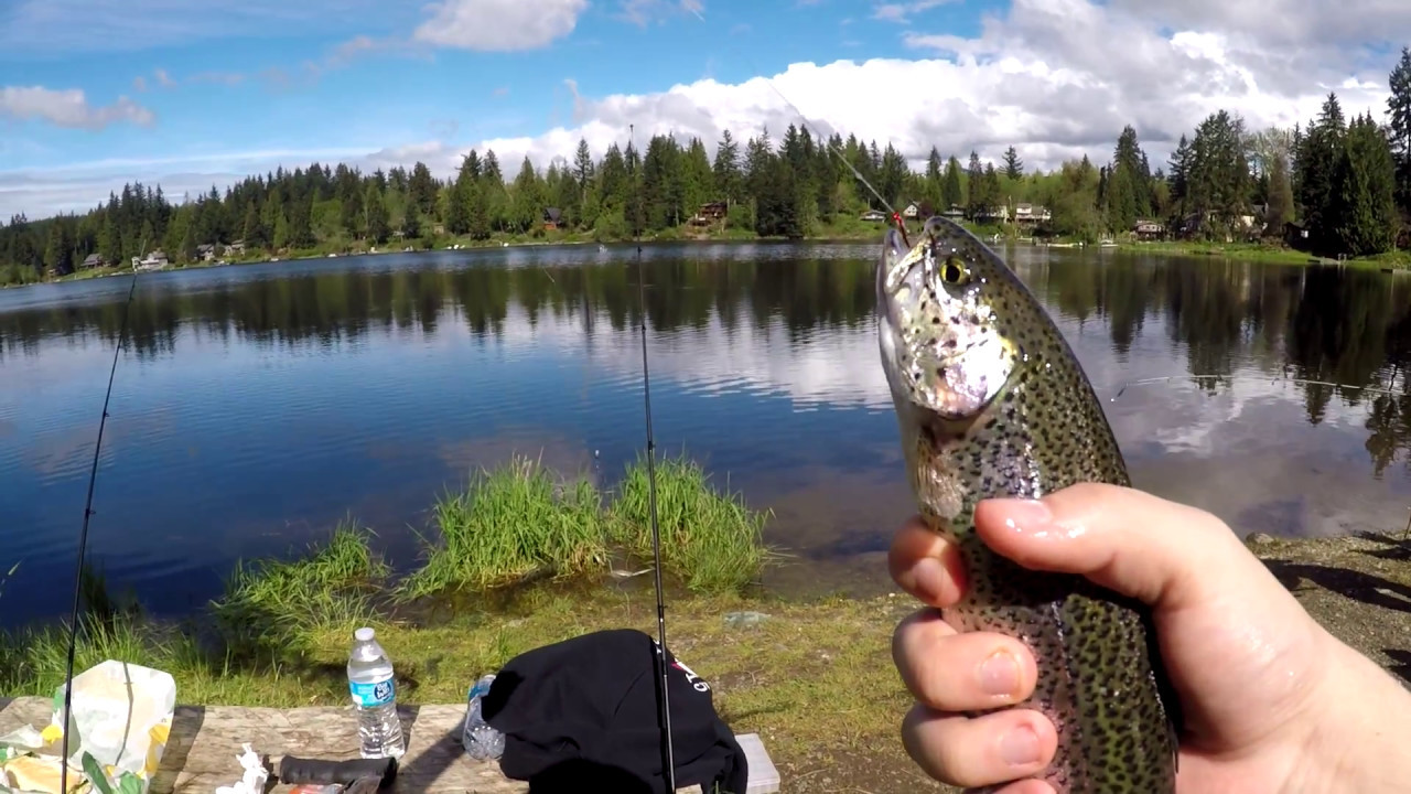 Rainbow Trout Fishing at a New Lake Successful! - YouTube