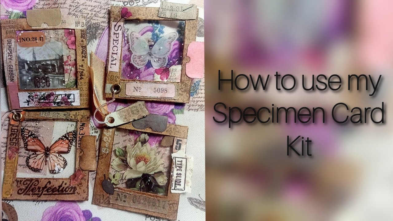 *SOLD OUT*How to use my Specimen Card Making Kit | Products Overview ...