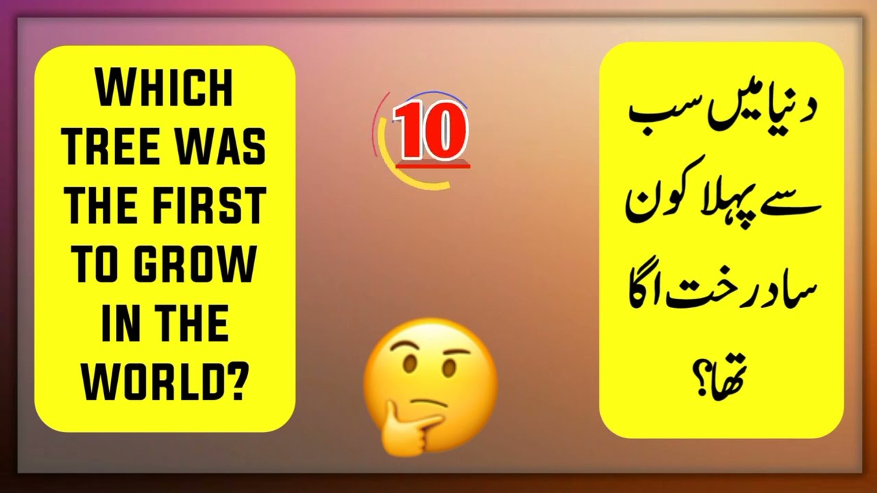 8 Brain Teasing Puzzles | 8 Paheliyaan | 8 Riddles - YouTube