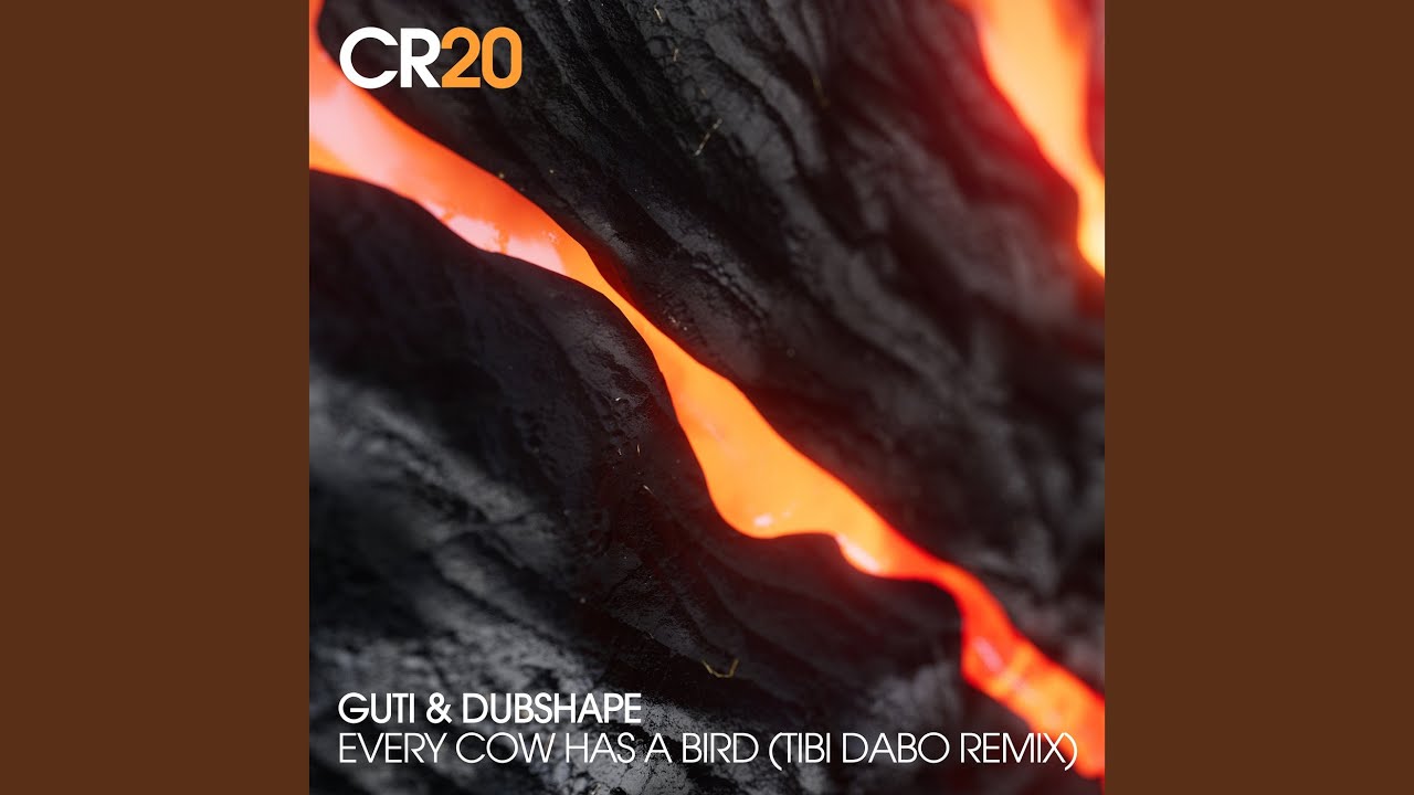Every Cow Has A Bird (Tibi Dabo Remix) - YouTube