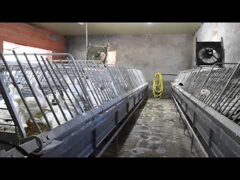 Inside a Foie Gras Farm