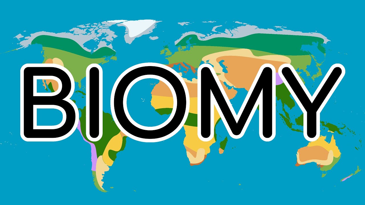 Biomy - YouTube
