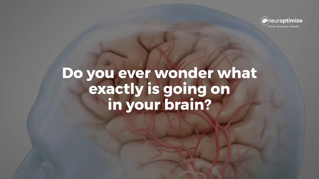 Brain mapping procedure - equiolpor