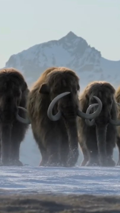 We Can Bring Extinct Animals 🦣 Back to Life | #shorts #dhruv #DeExtinction | - YouTube