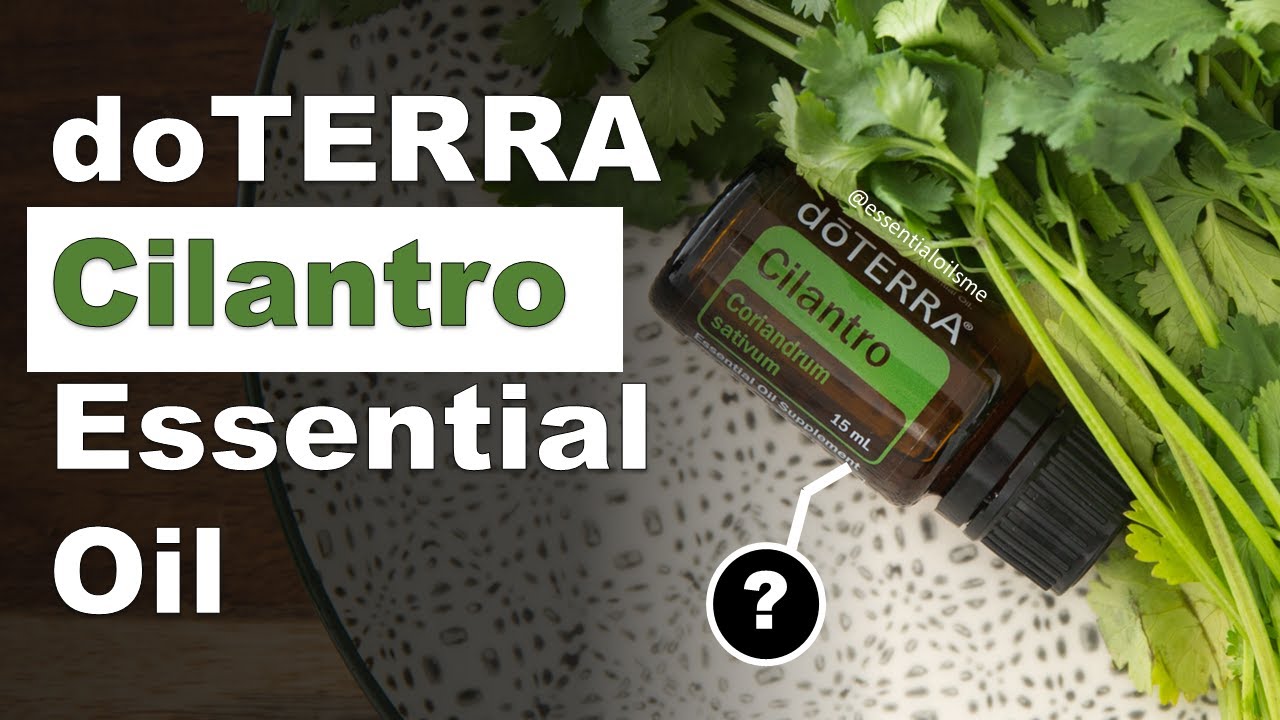 doTERRA Cilantro Essential Oil Benefits and Uses - YouTube