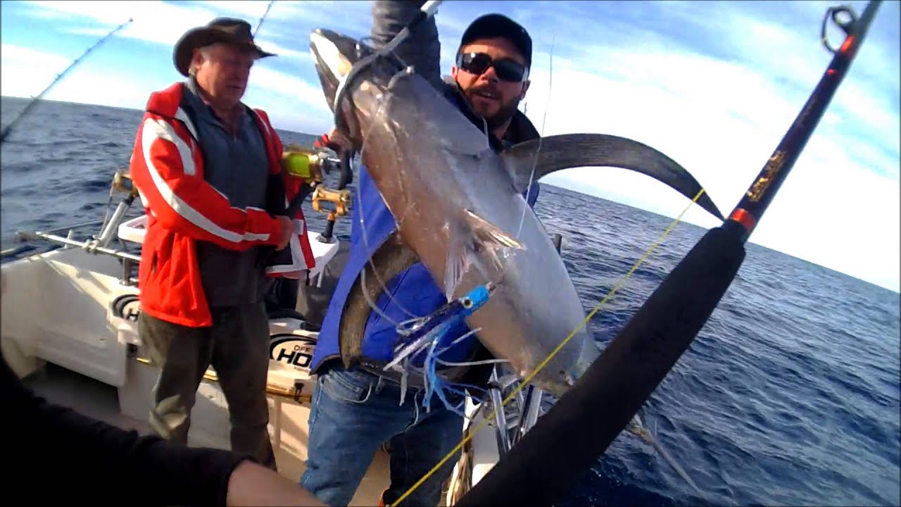 tuna fishing Portland Victoria 2014 - YouTube