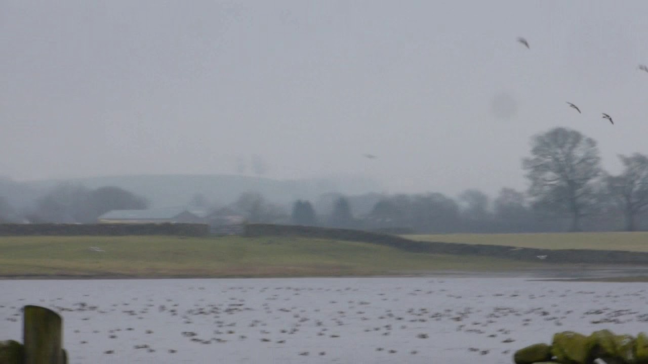 Hellifield Flashes- Nature Walk - Jan 2019 - YouTube