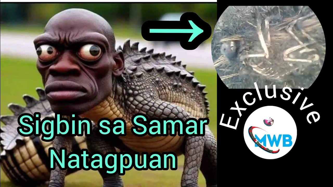Sigbin na Nakikita sa Samar possibleng ito ang dahilan sa Kalansay na ...