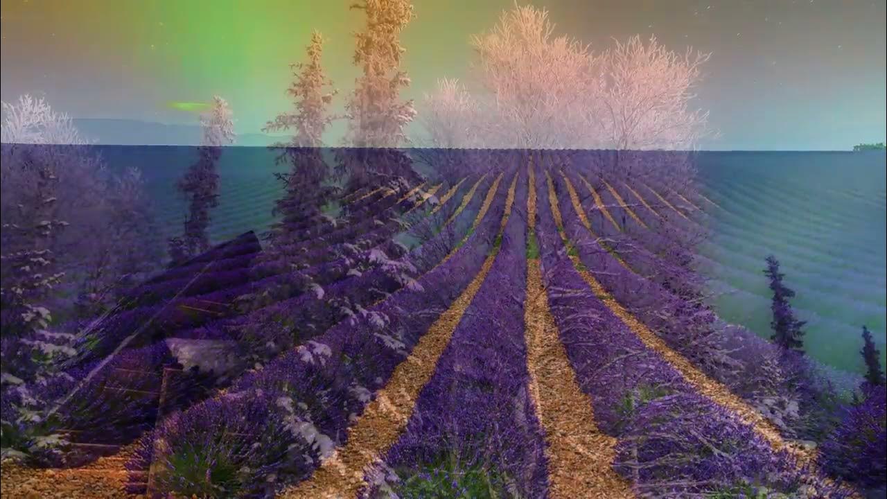 МУДРАЯ КНИГА ответов на твои вопросы Что излучаете, то и получаете ...