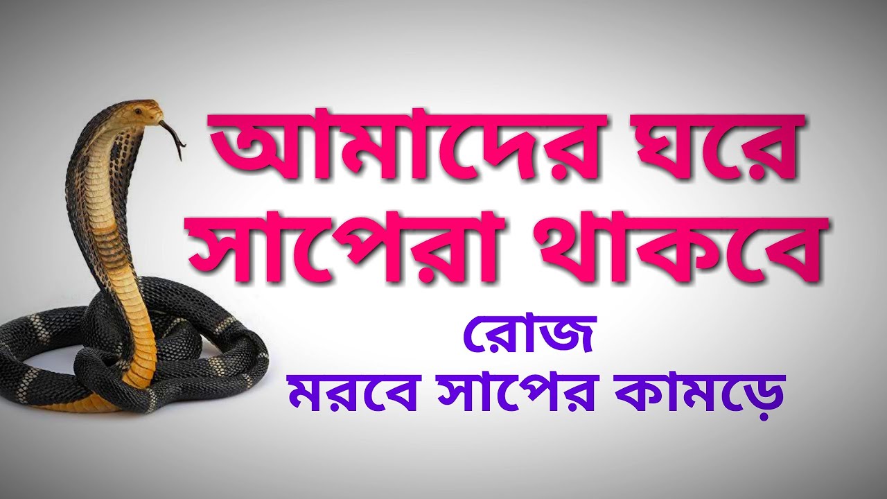 The snake will live in our house।।S BANGLA A TO Z ।। BENGALI EXCLUSIVE ...