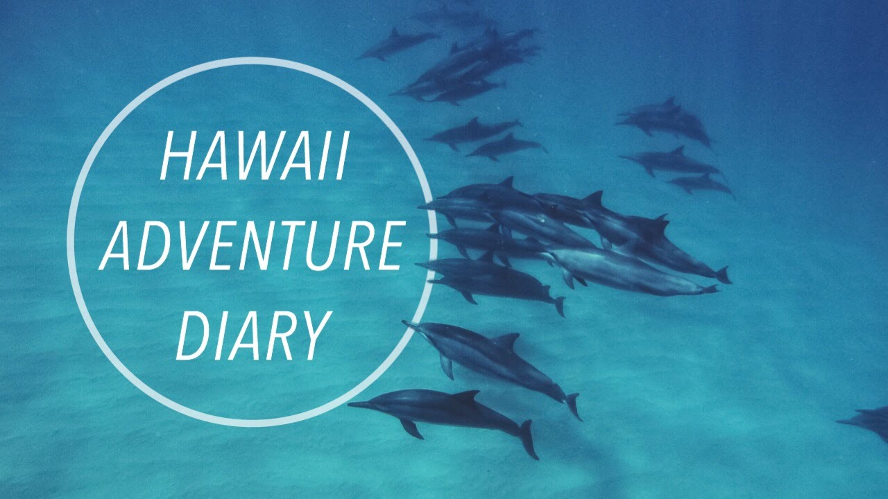 HAWAII ADVENTURE DIARY | Michelle Kanemitsu - YouTube