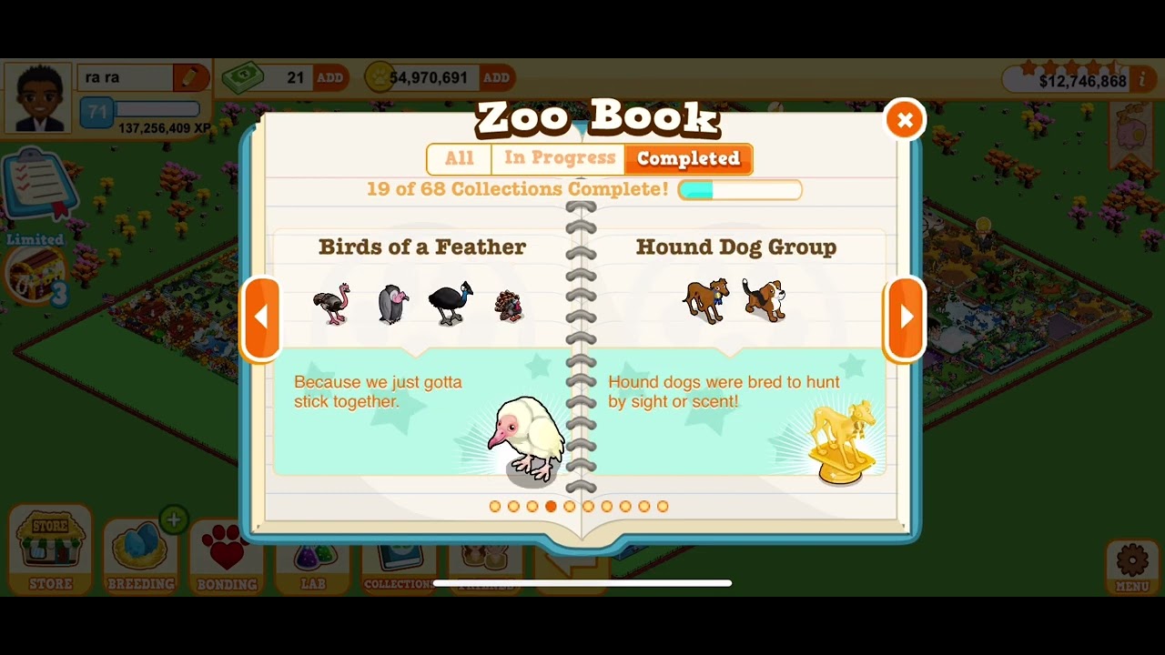 Tiny Zoo Friends Collection Book - YouTube