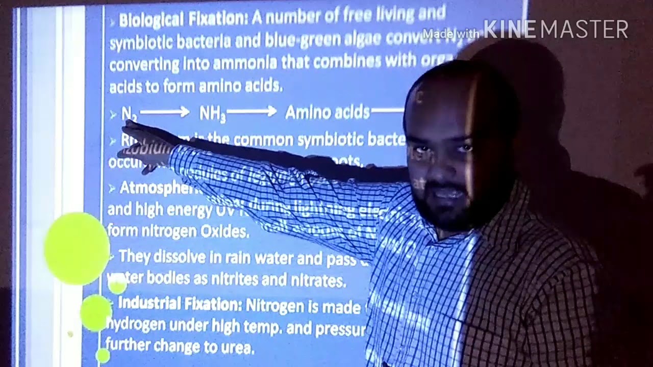 Biochemical Cycles: Class 9 - YouTube