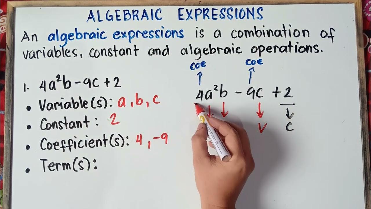 Algebraic Expressions | Identify the variables, constant, coefficients ...