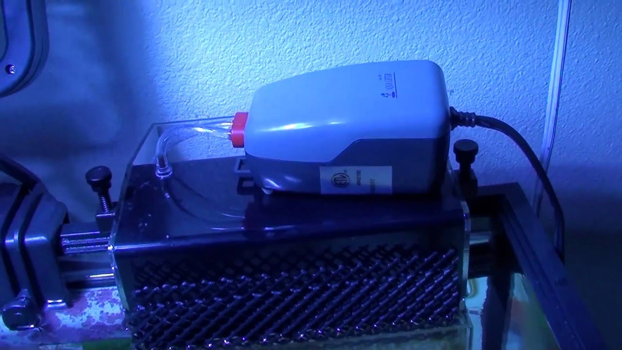 toms aqua lifter - YouTube