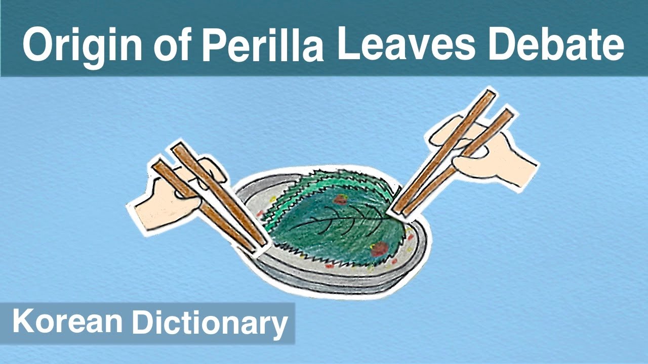 Perilla Leaves Argument Origin Where Perilla Leaves Argument Come From Youtube