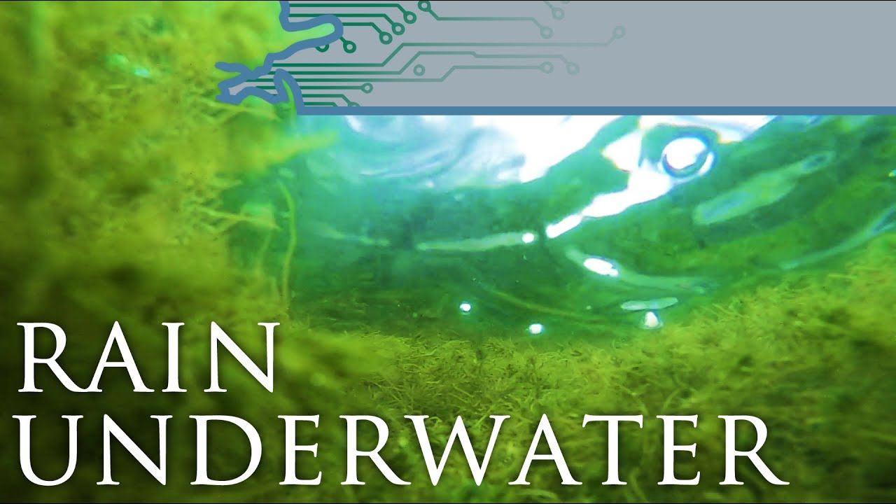 Rain Underwater - Slow Motion - YouTube