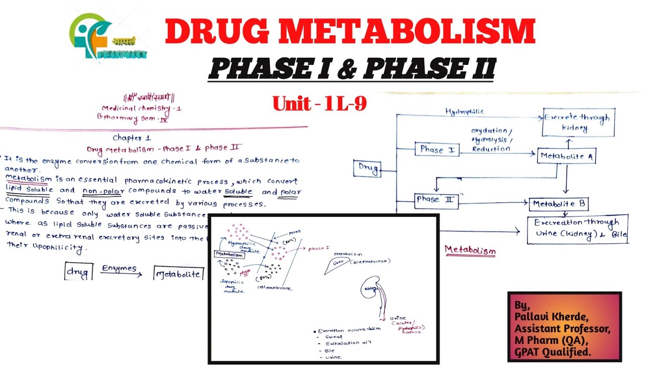 Drug metabolism principles phase i & phase ii | Medicinal chemistry 1 ...
