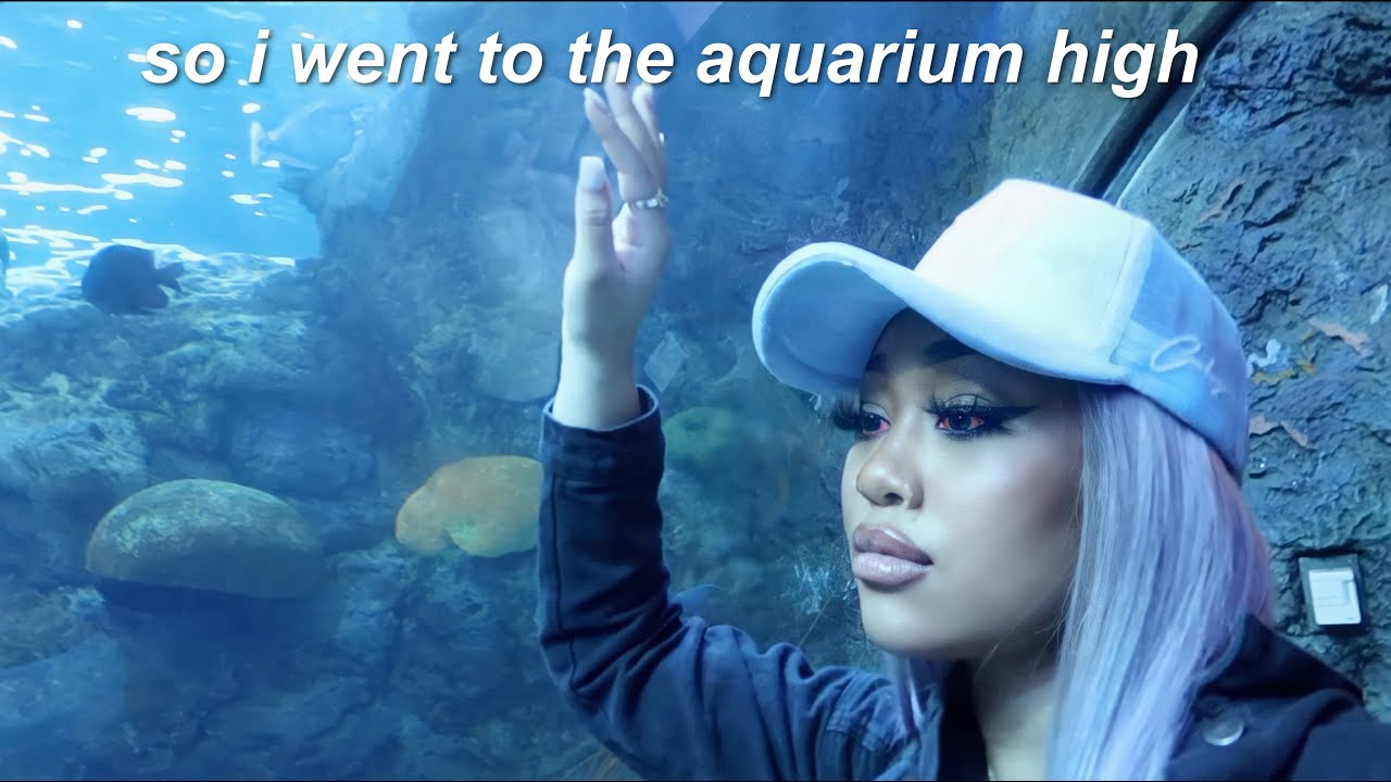 i went to the aquarium high af off 10 edibles - YouTube