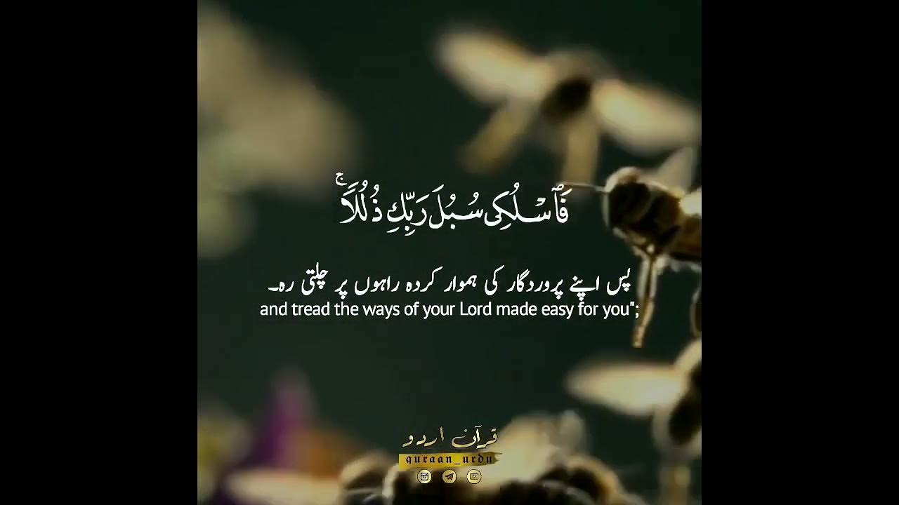 Surah Al Nahl Ayat 28 29 سورہ النحل آیات 28 29 - YouTube