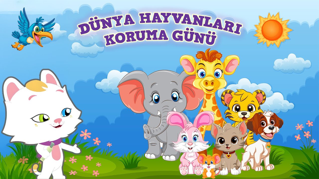 DÜNYA HAYVANLARI KORUMA GÜNÜ! 🌍🐾🐶🐱 #hayvanlarıkoru - YouTube