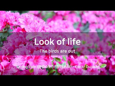 Spring Rain (봄밤 OST) - Oscar Dunbar (멜로디MR) / MusicSum Karaoke - YouTube
