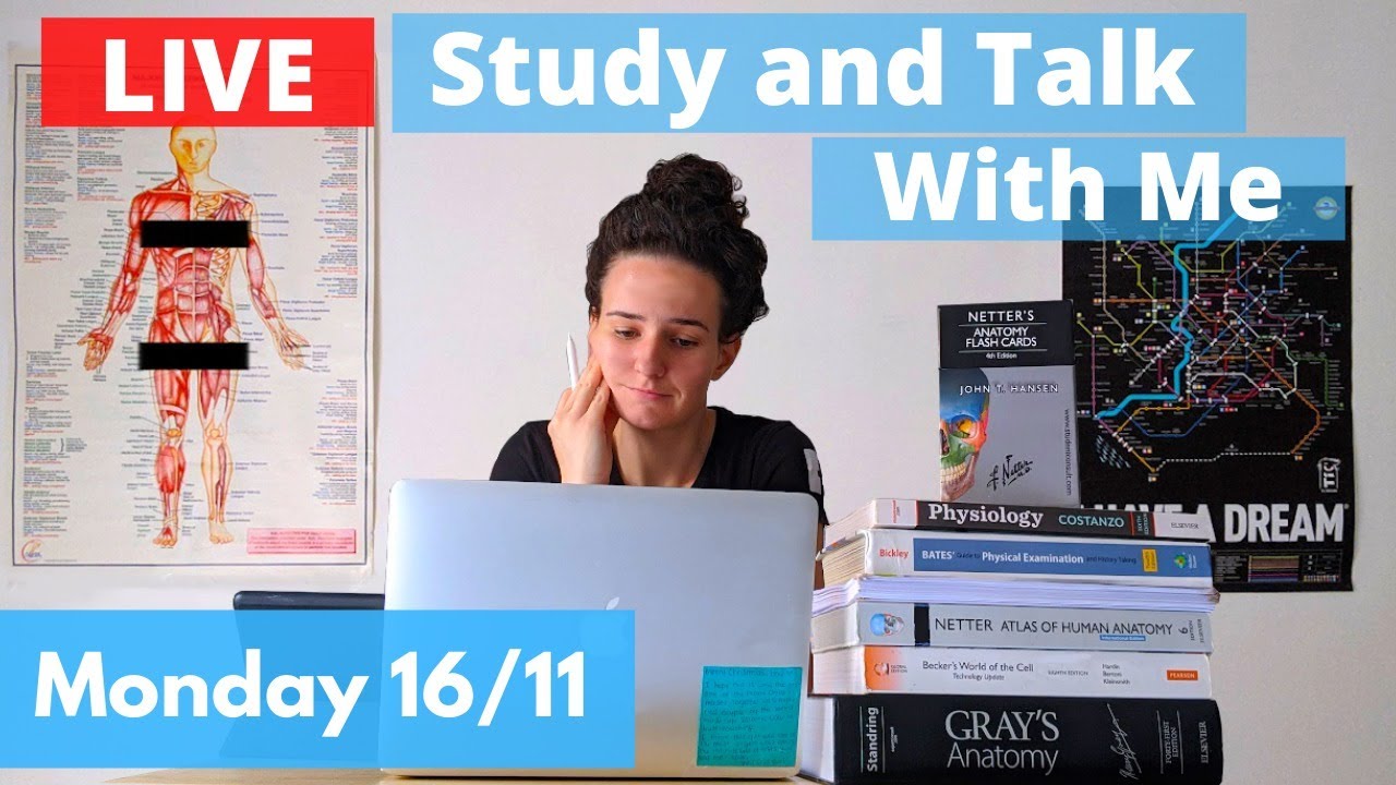 Study With Me Live (talk on the breaks) - 10+ hours - YouTube