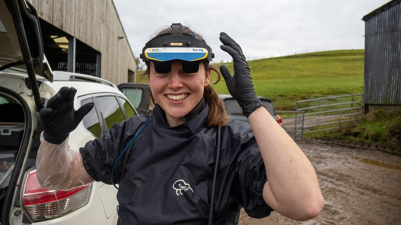 Hannah Rainey: Life as a Vet - YouTube