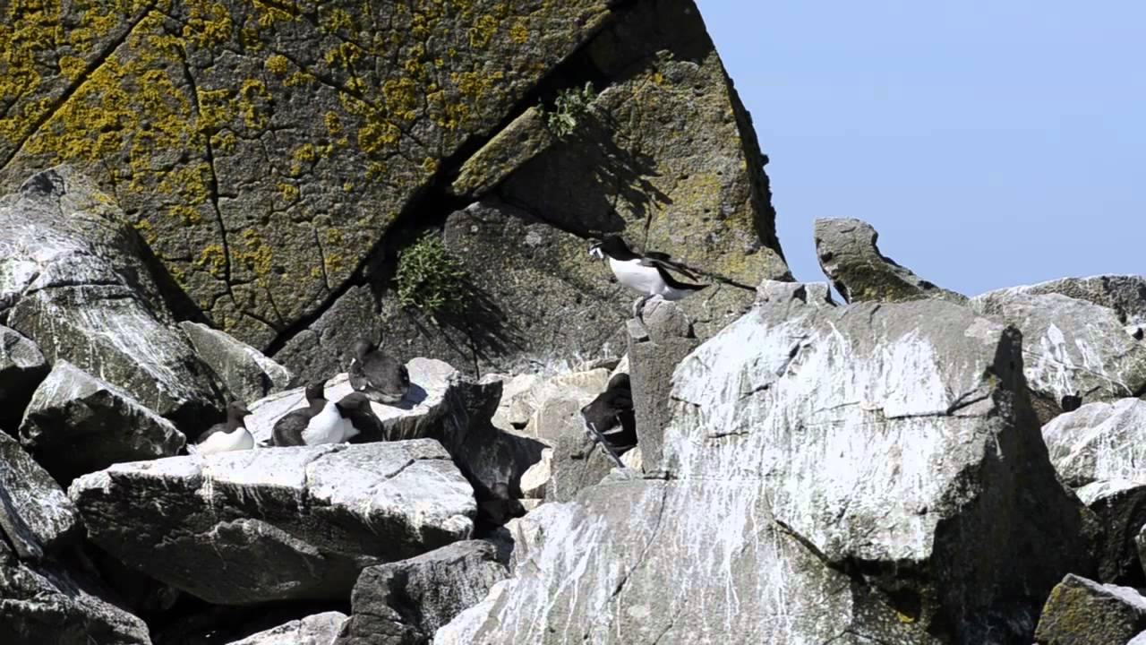 Kayak trip Mull to Lunga - YouTube