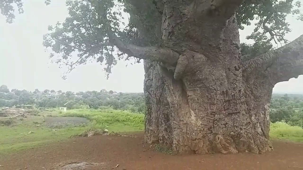 Berasia trip | ek trip berasia ki| top visiting place in berasia - YouTube