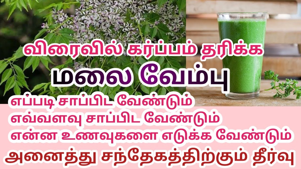 Malai vempu for pregnancy in tamil || pcod || infertility || woman's ...