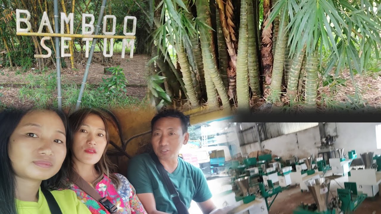 visiting BAMBOO SETUM@NagaNupa @Api763 - YouTube