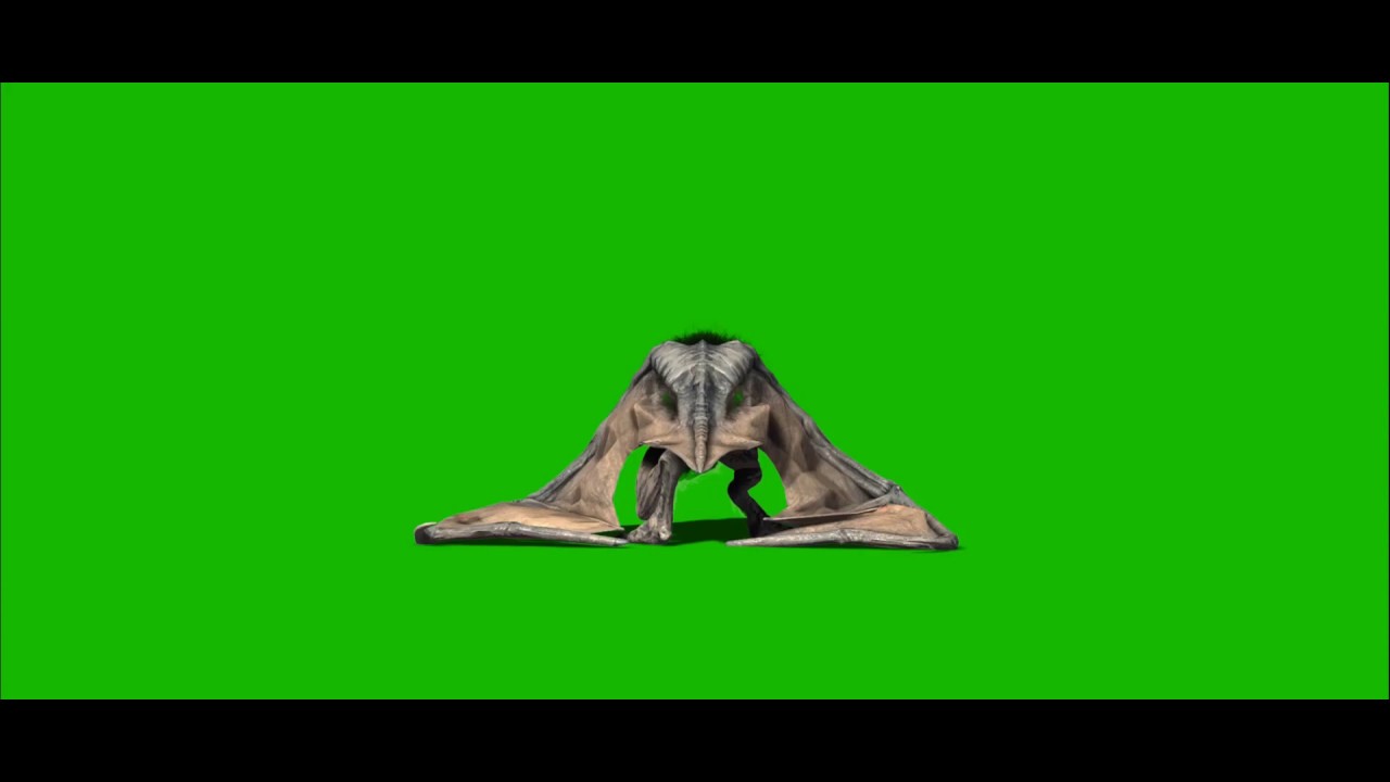 BAT... GREEN SCREEN VIDEO - YouTube
