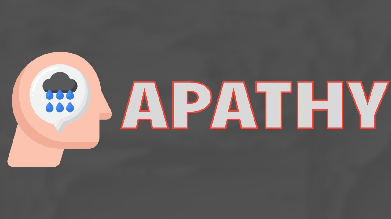 What Does APATHY Means || Meanings And Definitions With Example in ...