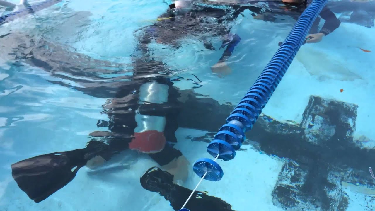 Jordan's First Pool Dive Experience - YouTube