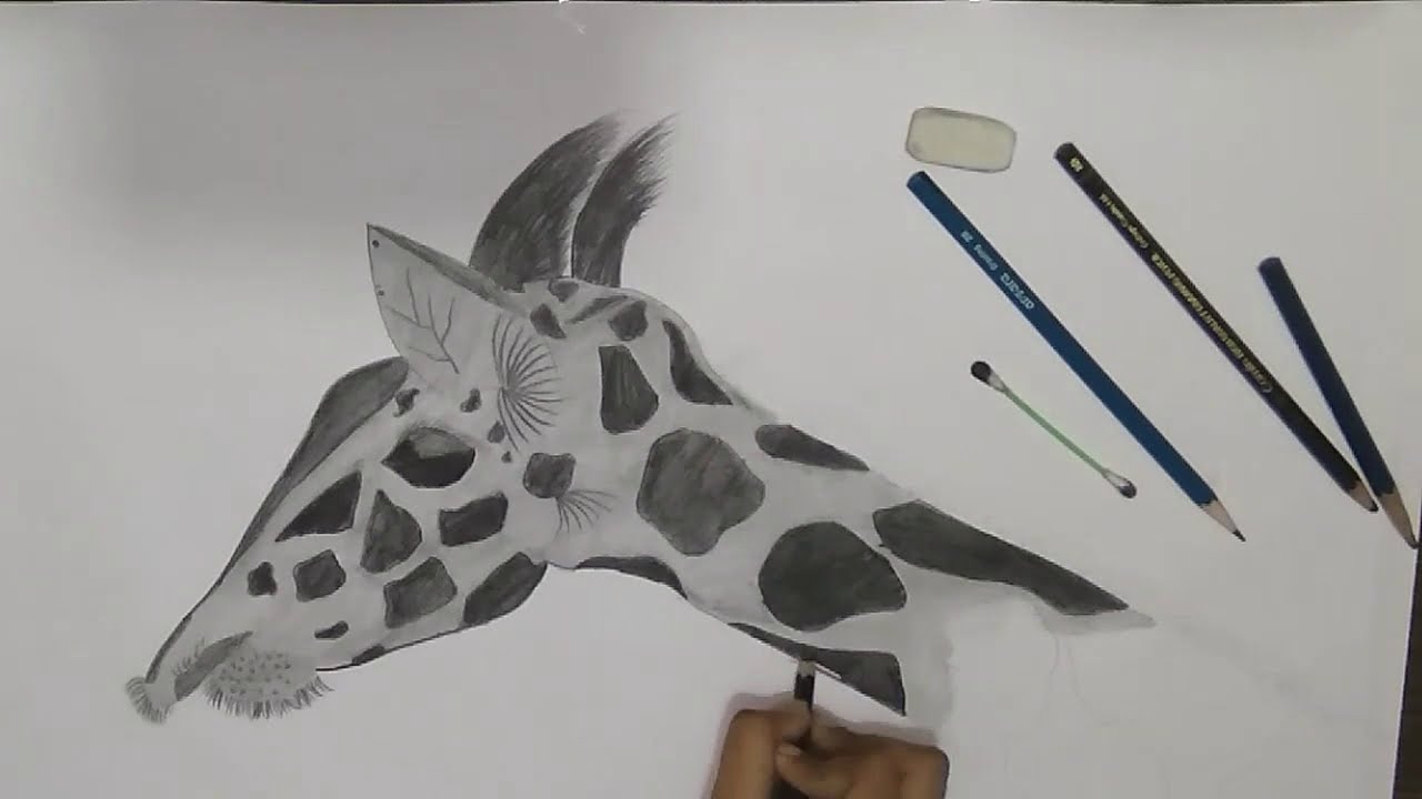 Sourav Joshi inspired giraffe drawing - YouTube