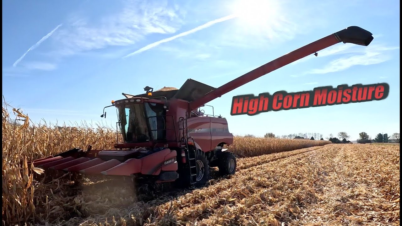 Wisconsin Corn Harvest | Getting Started - YouTube