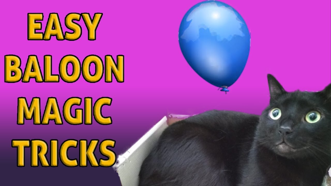 Easy Balloon Magic Tricks | Cats And Magic Tricks - YouTube