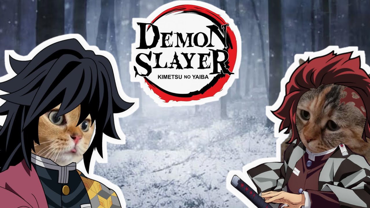 Demon Slayer : Tanjiro & Tomioka / CAT MEMES - YouTube