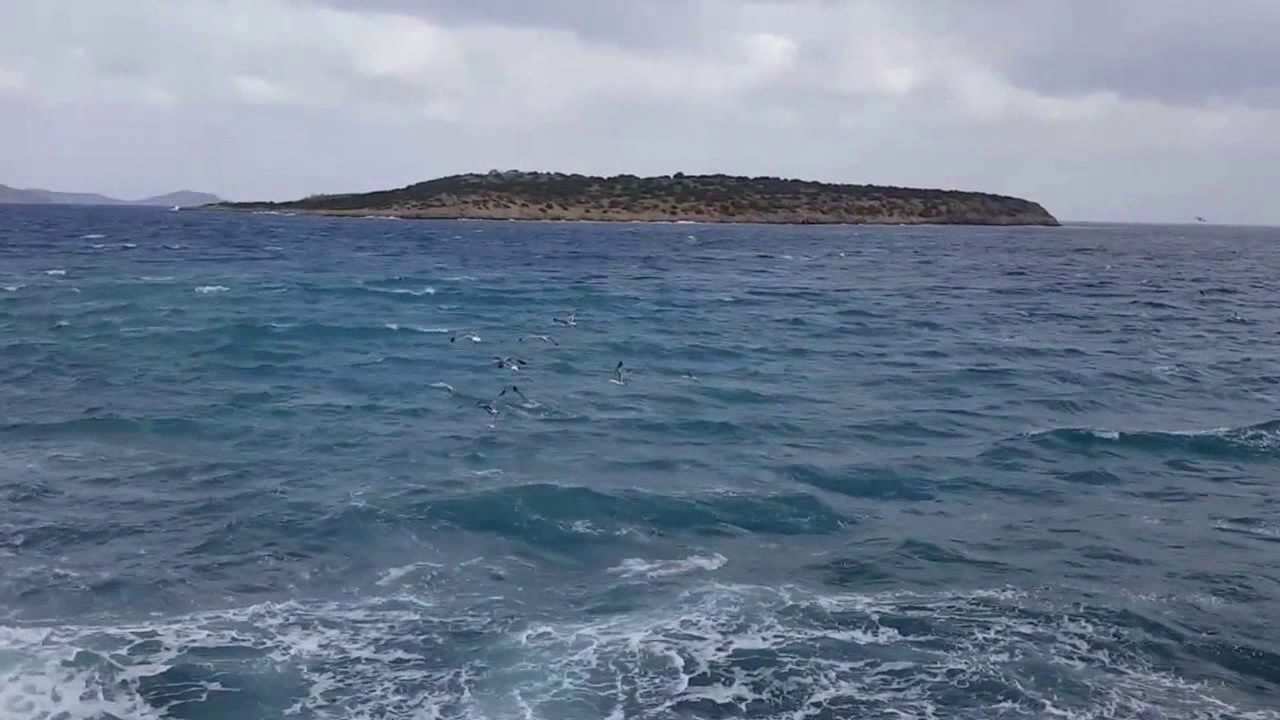 Οι γλάροι "παίζουν" στη φουρτουνιασμένη θάλασσα - YouTube